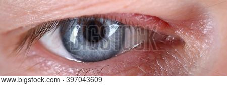 Contented Gaze Man, Image & Photo (Free Trial) | Bigstock