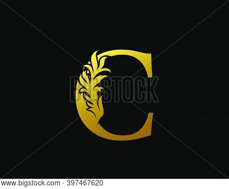 Classic Letter C Icon Vector & Photo (Free Trial) | Bigstock