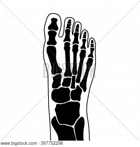 Human Ankle Icon Vector & Photo (Free Trial) | Bigstock