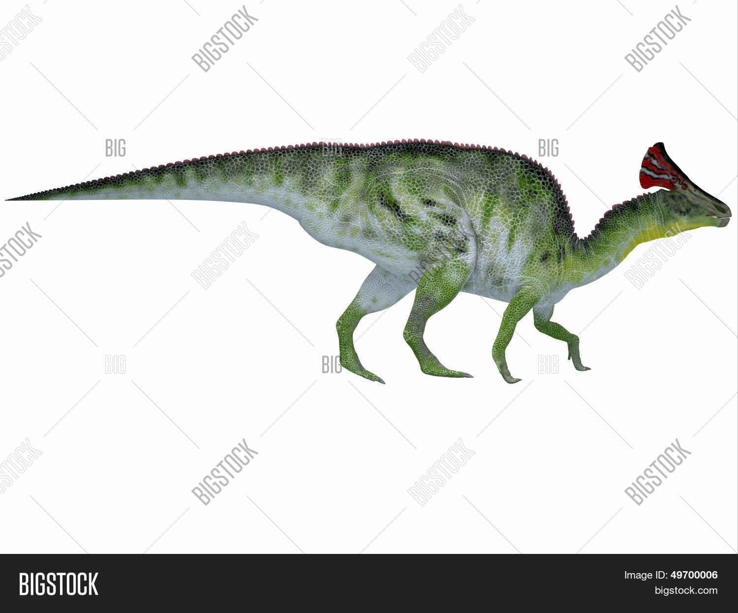 Olorotitan On White Image & Photo (Free Trial) | Bigstock