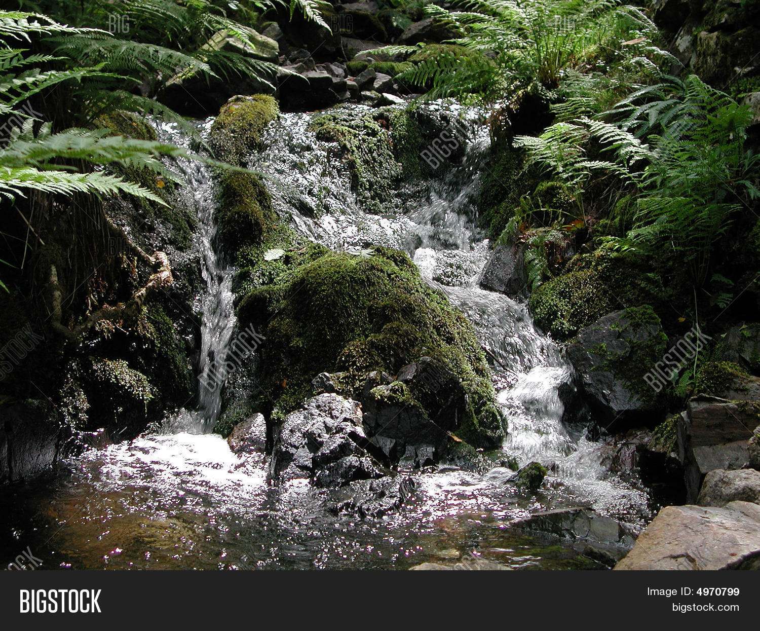 Woodland Waterfall Image & Photo (Free Trial) | Bigstock