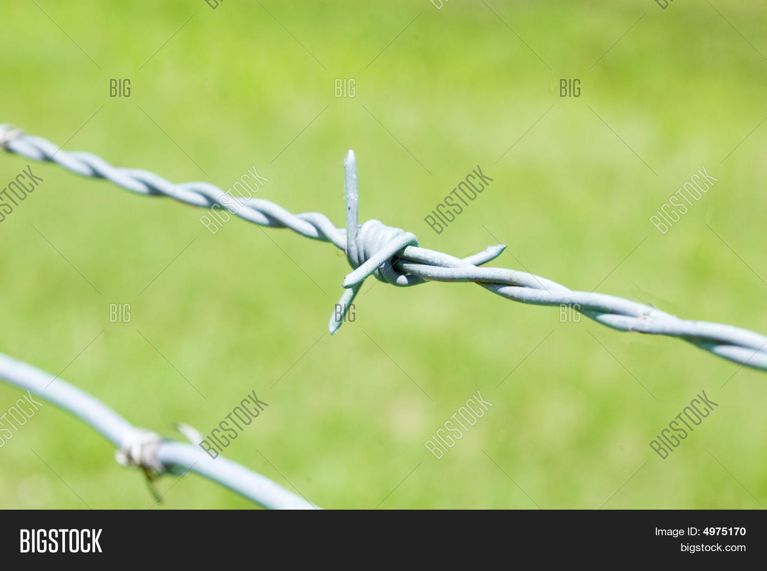 Single Strand Barbed Image & Photo (Free Trial) | Bigstock