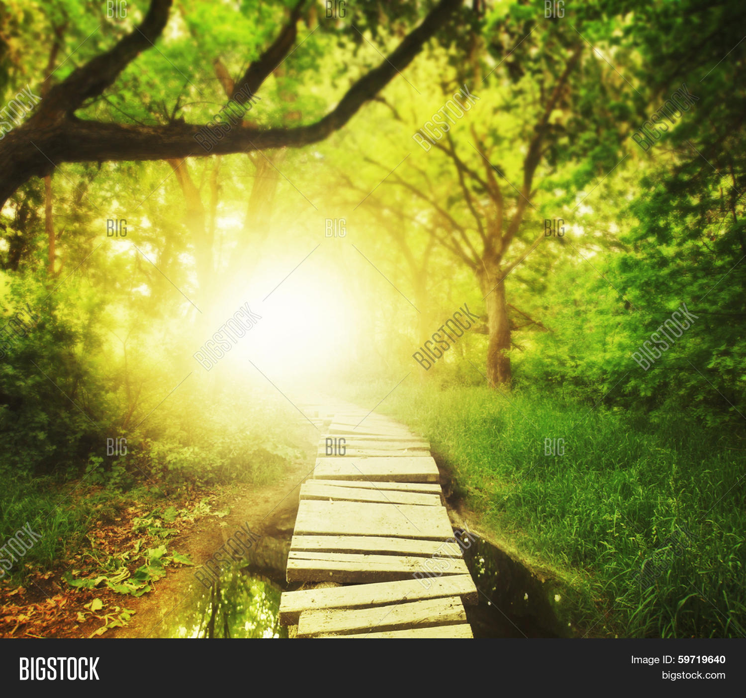 Magical Bridge Green Image & Photo (Free Trial) | Bigstock
