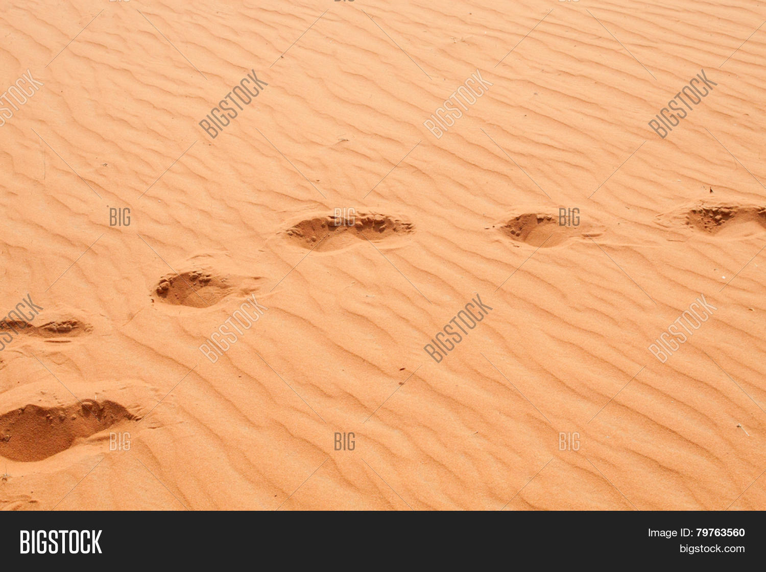 Red Sand "Arabian Image & Photo (Free Trial) | Bigstock