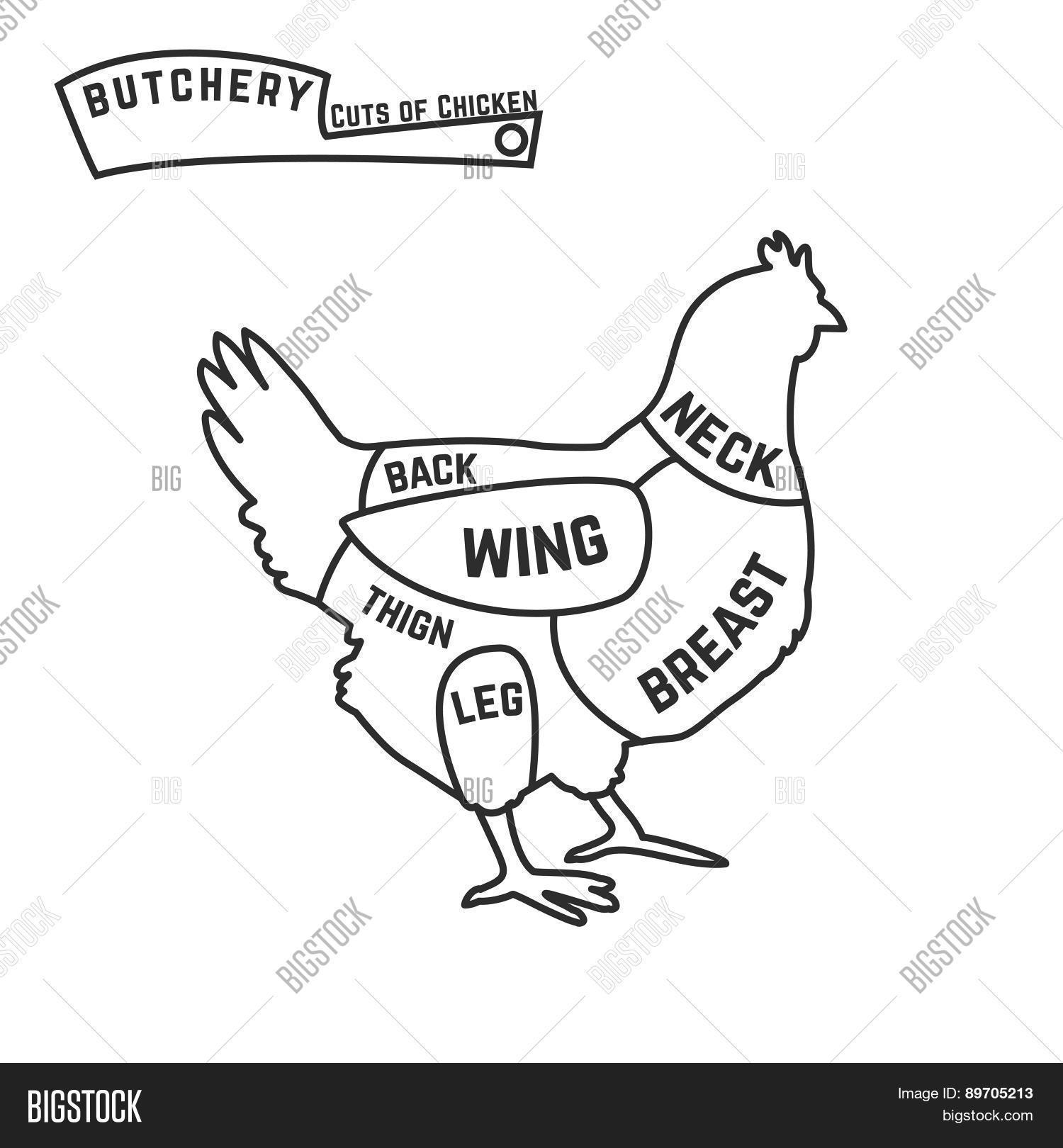 Cuts Chicken Butcher Vector & Photo (Free Trial) | Bigstock