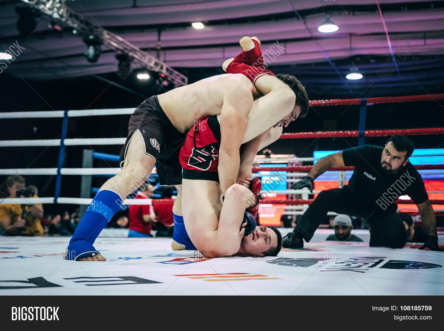 Athlete MMA Did Image & Photo (Free Trial) | Bigstock