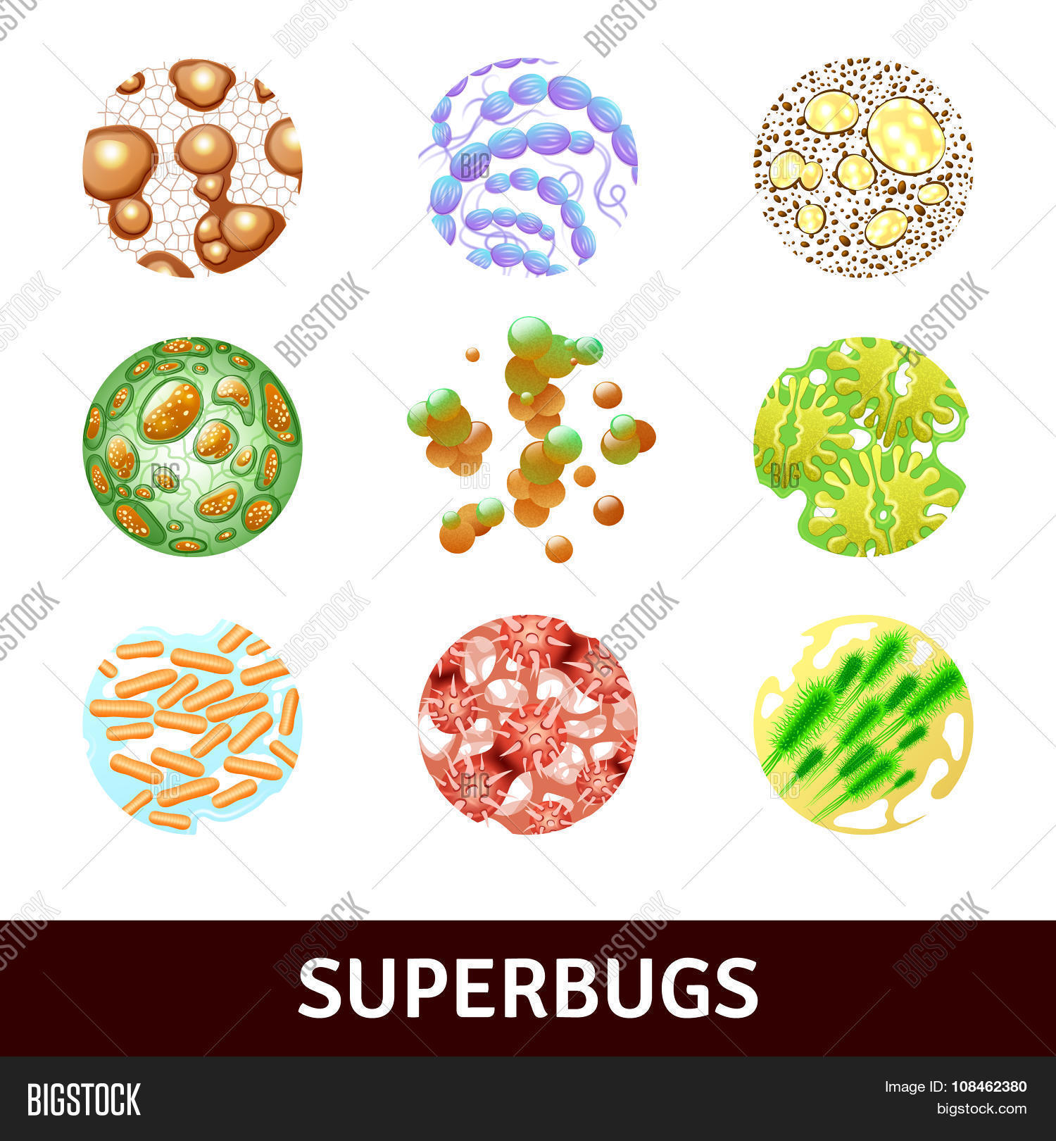 Superbugs Realistic Vector & Photo (Free Trial) | Bigstock