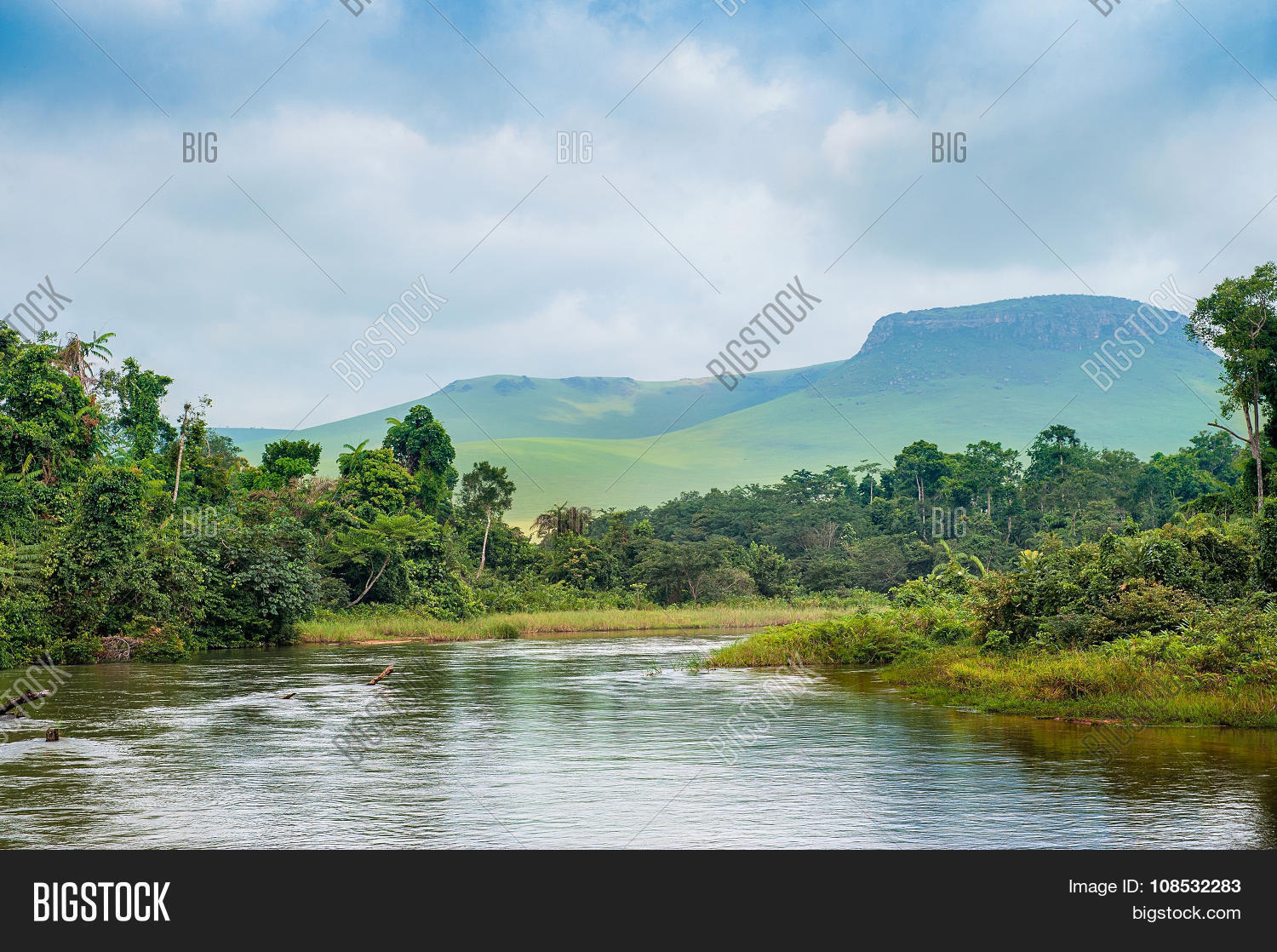 River Jungle. Small Image & Photo (Free Trial) | Bigstock