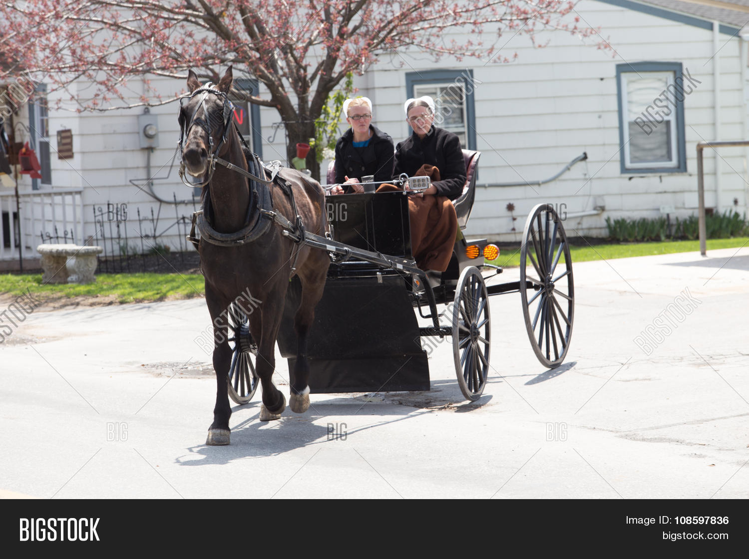 Two Amish Women Buggy Image & Photo (Free Trial) | Bigstock