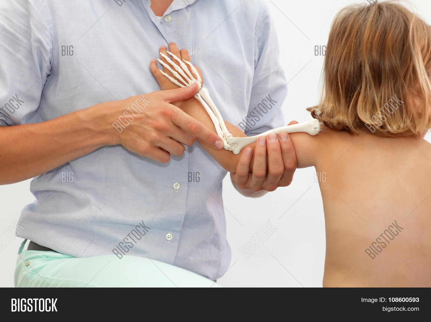 Anatomy Lesson - Image & Photo (Free Trial) | Bigstock