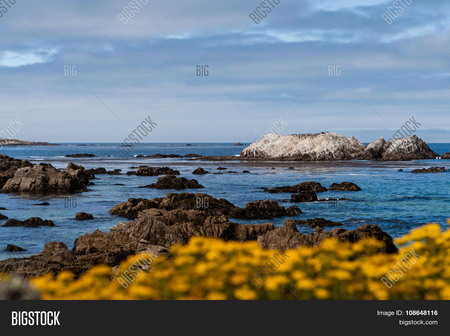 Bird Rock 17 Mile Image & Photo (Free Trial) | Bigstock
