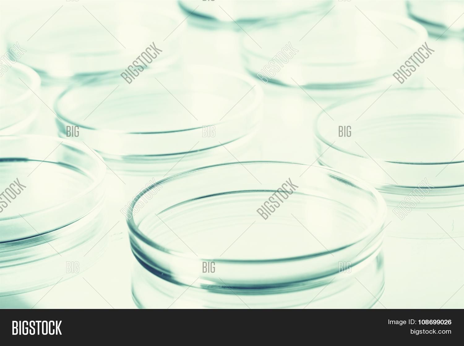 Petri Dish Image & Photo (Free Trial) | Bigstock