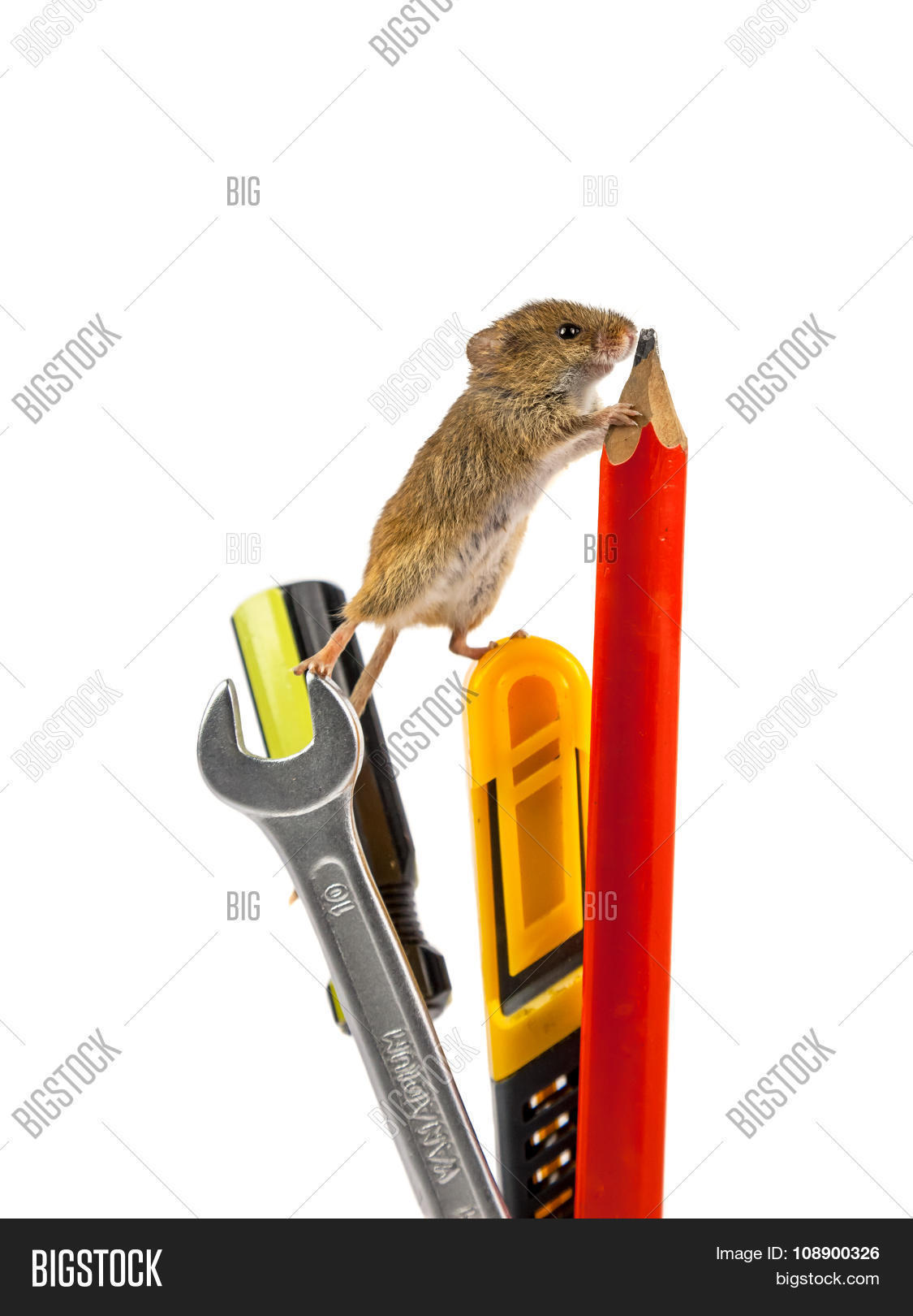 Tools Mouse Image & Photo (Free Trial) | Bigstock