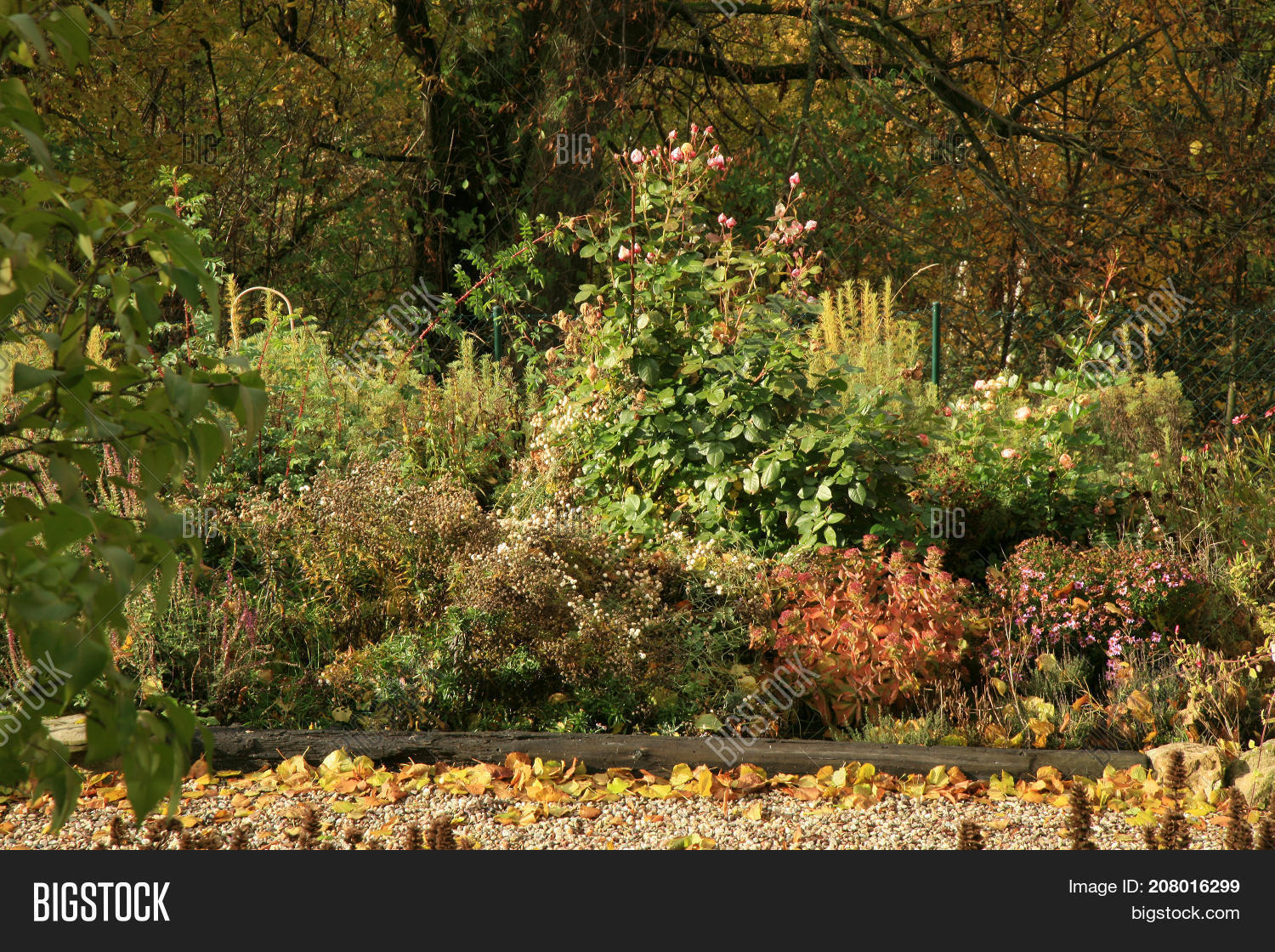 Lining Plants On Image & Photo (Free Trial) | Bigstock