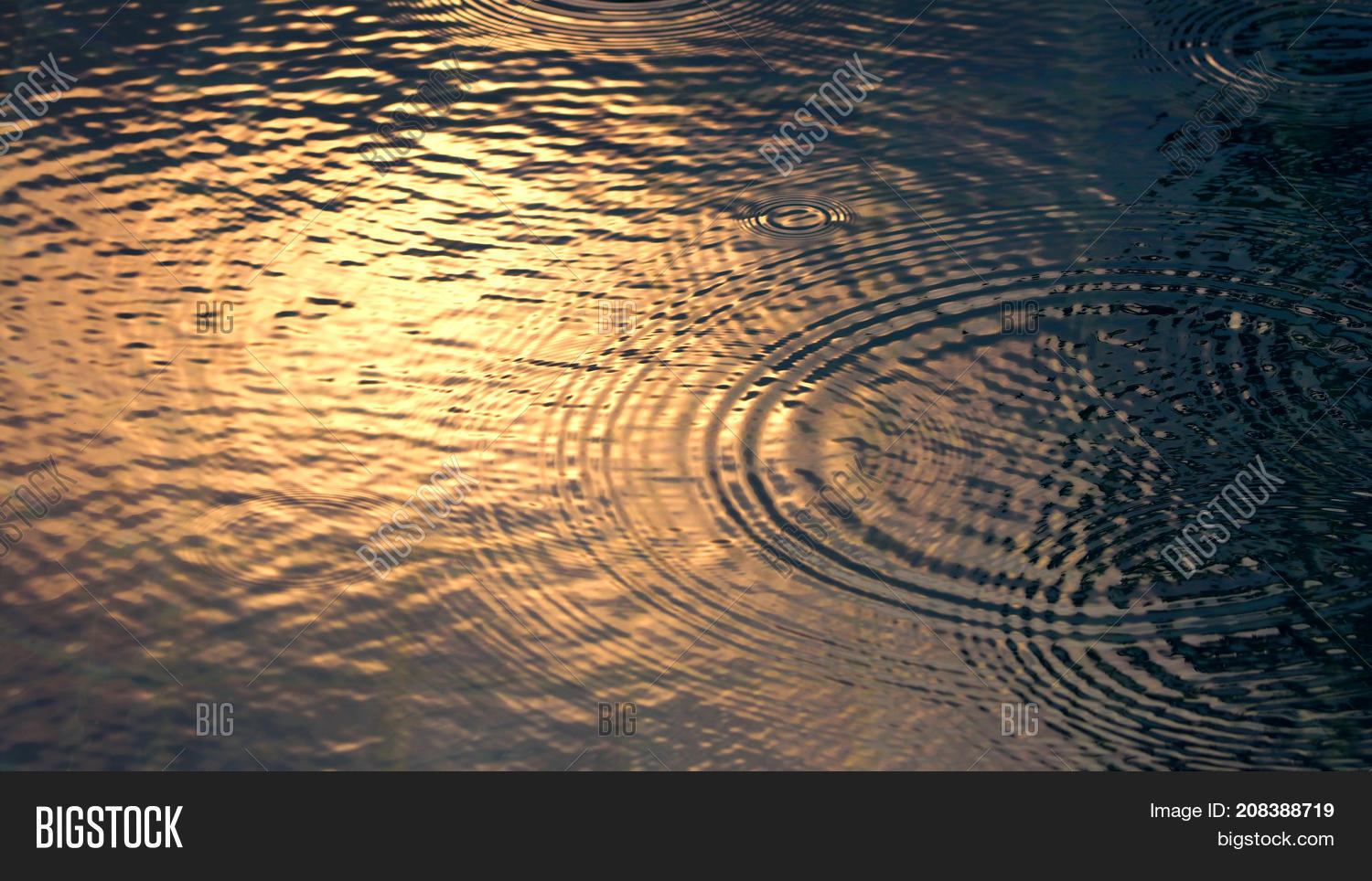 Rain Drop Falling On Image & Photo (Free Trial) | Bigstock