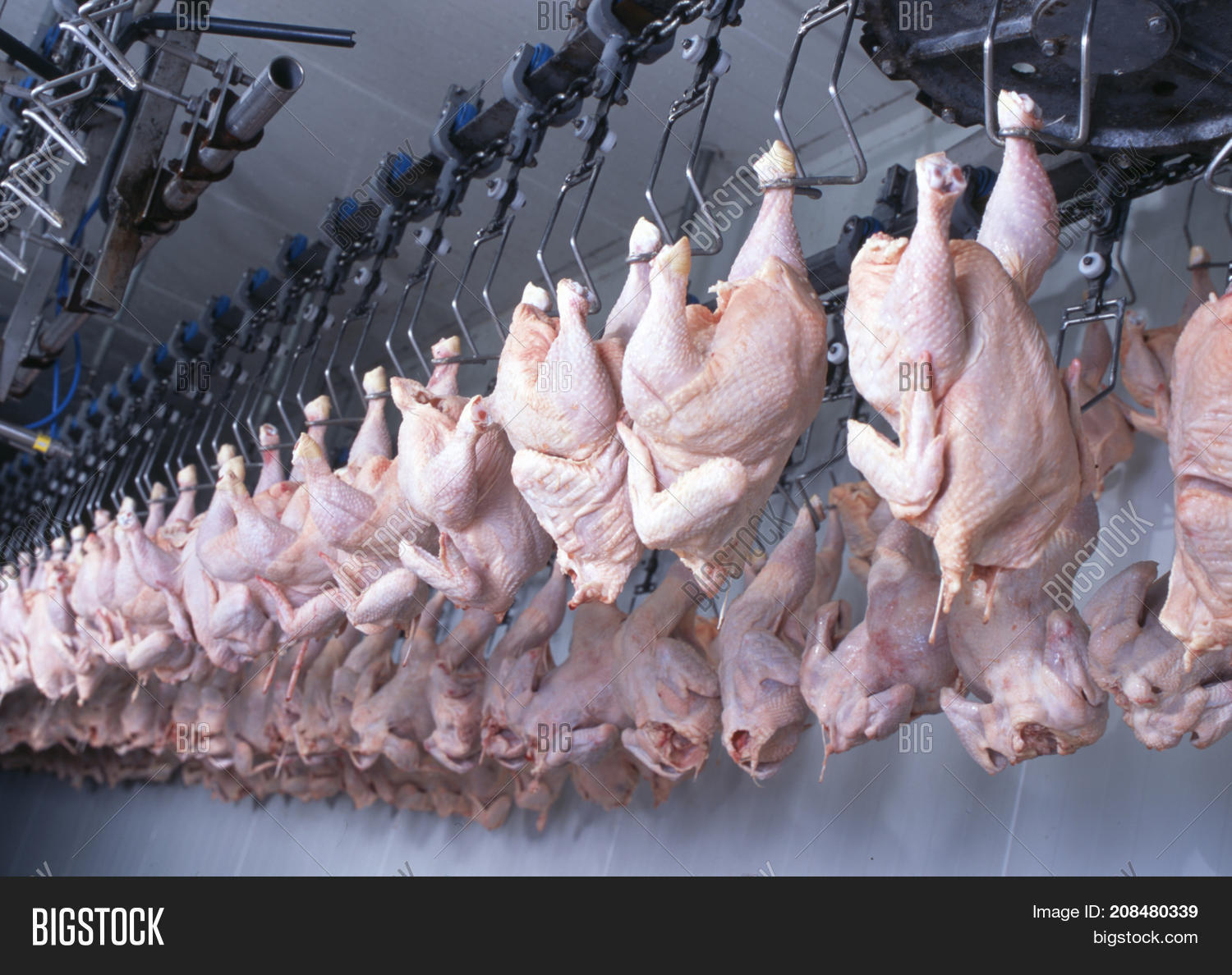 Factory Production Image & Photo (Free Trial) | Bigstock