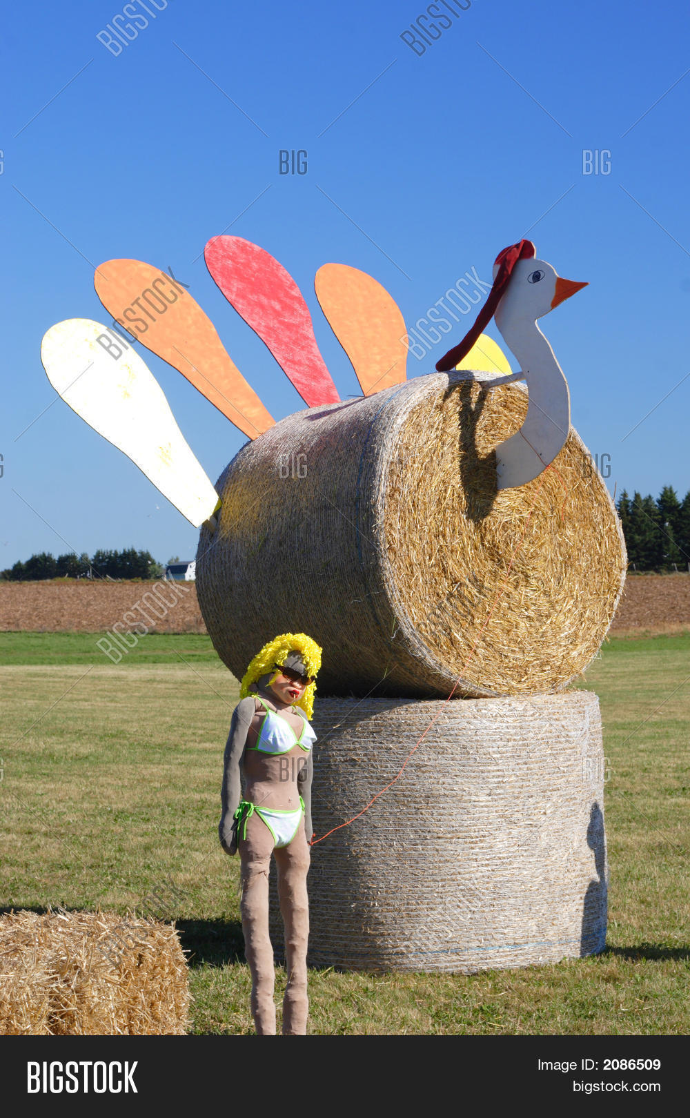 Hay Bale Turkey 2 Image & Photo (Free Trial) | Bigstock