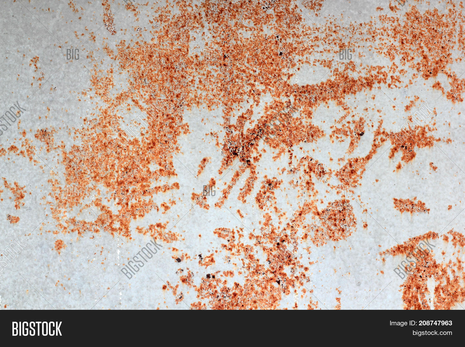 Rusted White Painted Image & Photo (Free Trial) | Bigstock