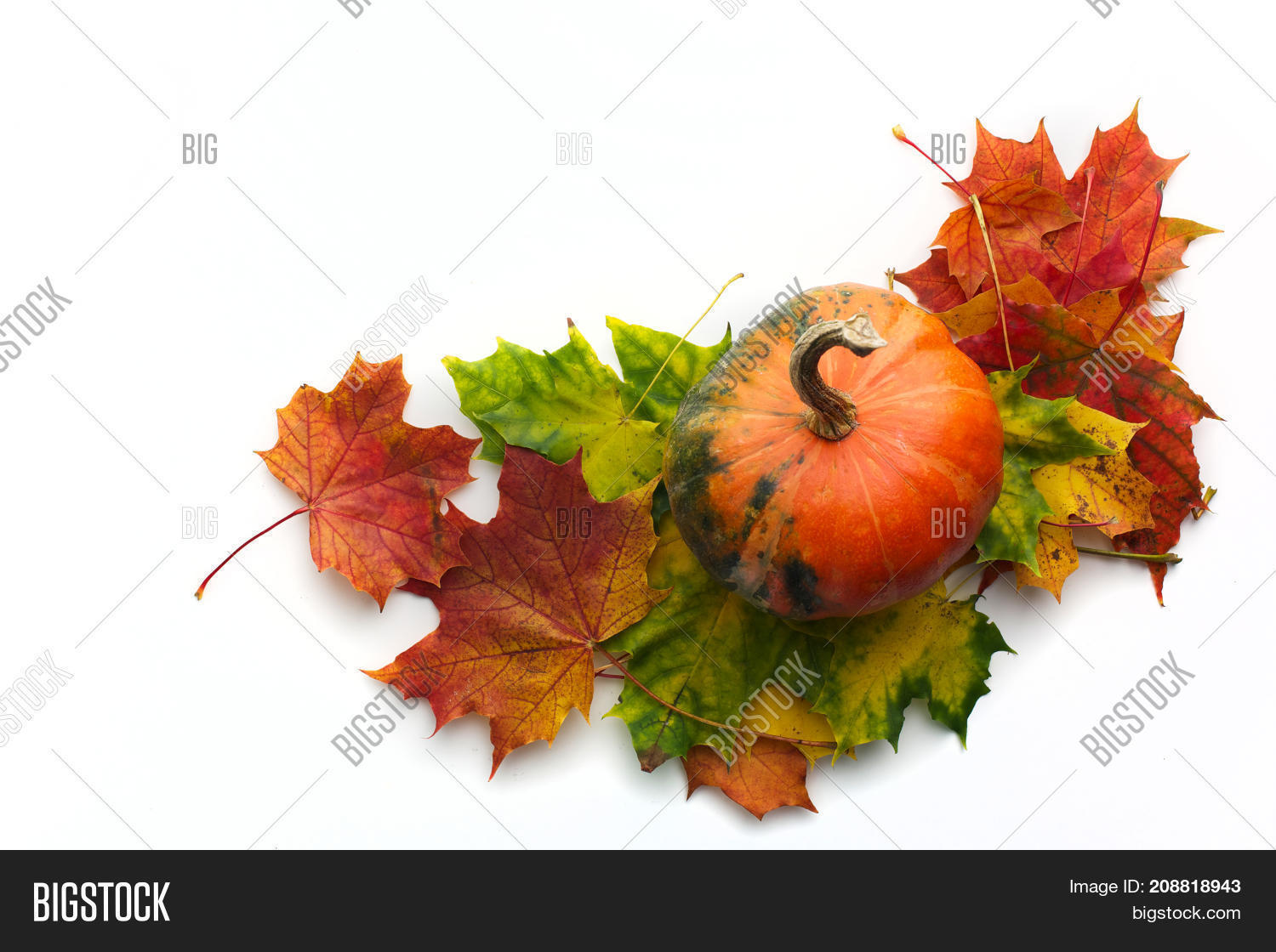 Autumn Corner Border Image & Photo (Free Trial) | Bigstock