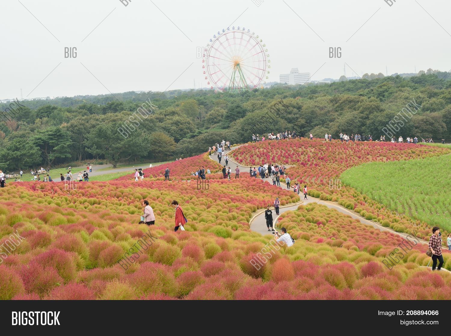 HITACHI CITY, JAPAN - Image & Photo (Free Trial) | Bigstock