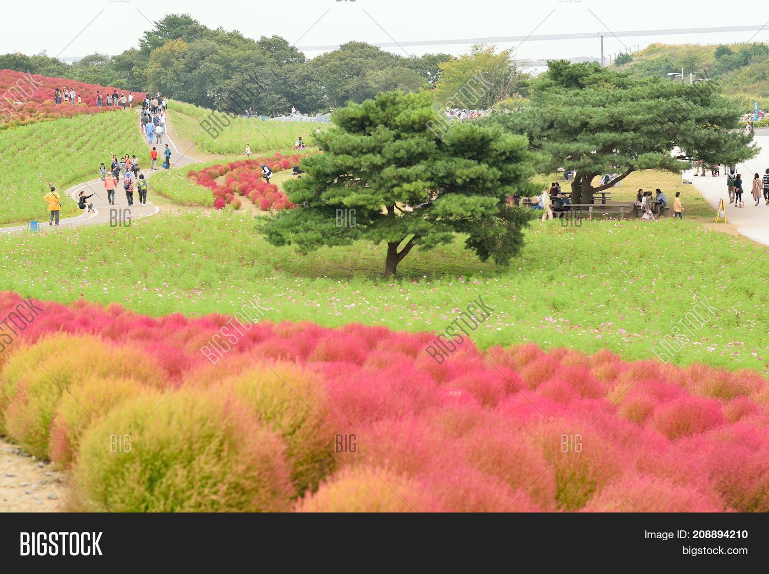 HITACHI CITY, JAPAN - Image & Photo (Free Trial) | Bigstock