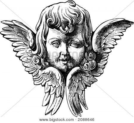 Angel Vector & Photo (Free Trial) | Bigstock