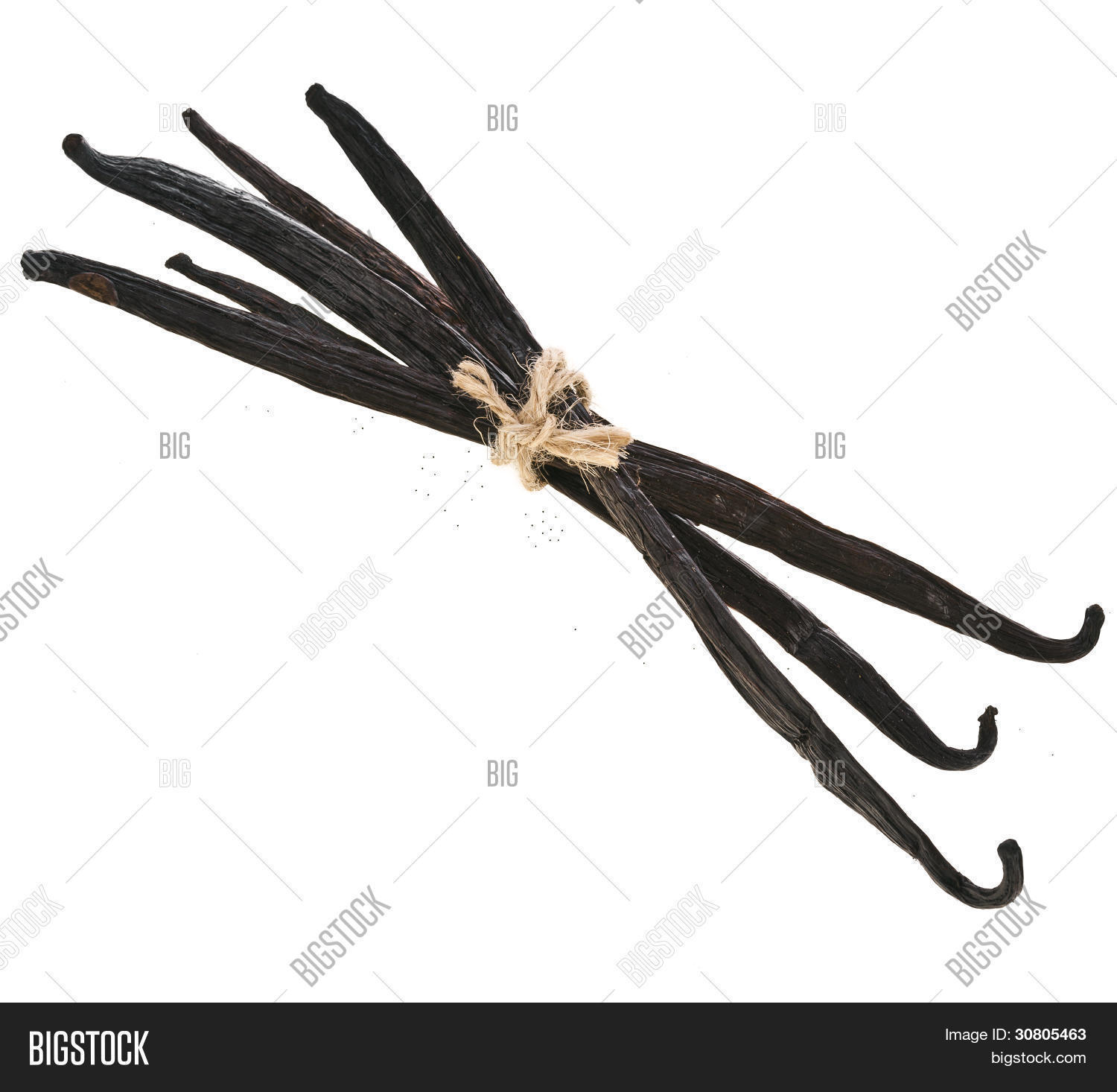 Vanilla Pod Isolated Image & Photo (Free Trial) | Bigstock