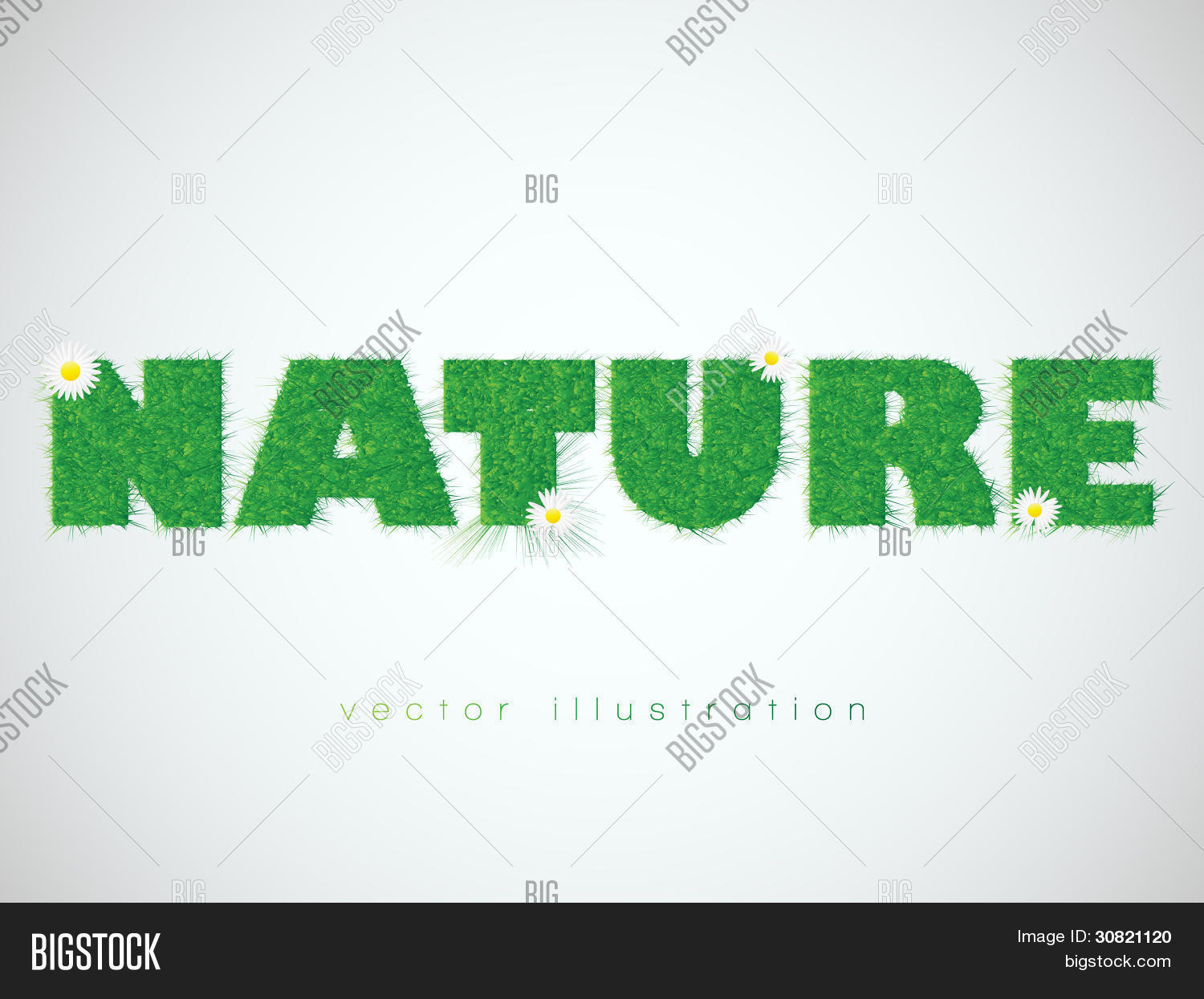 High Resolution Grass Vector & Photo (Free Trial) | Bigstock