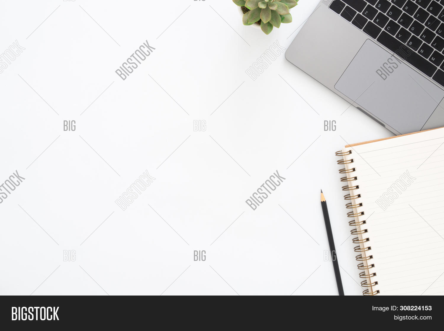 Imagen y foto Creative Flat Lay (prueba gratis) | Bigstock