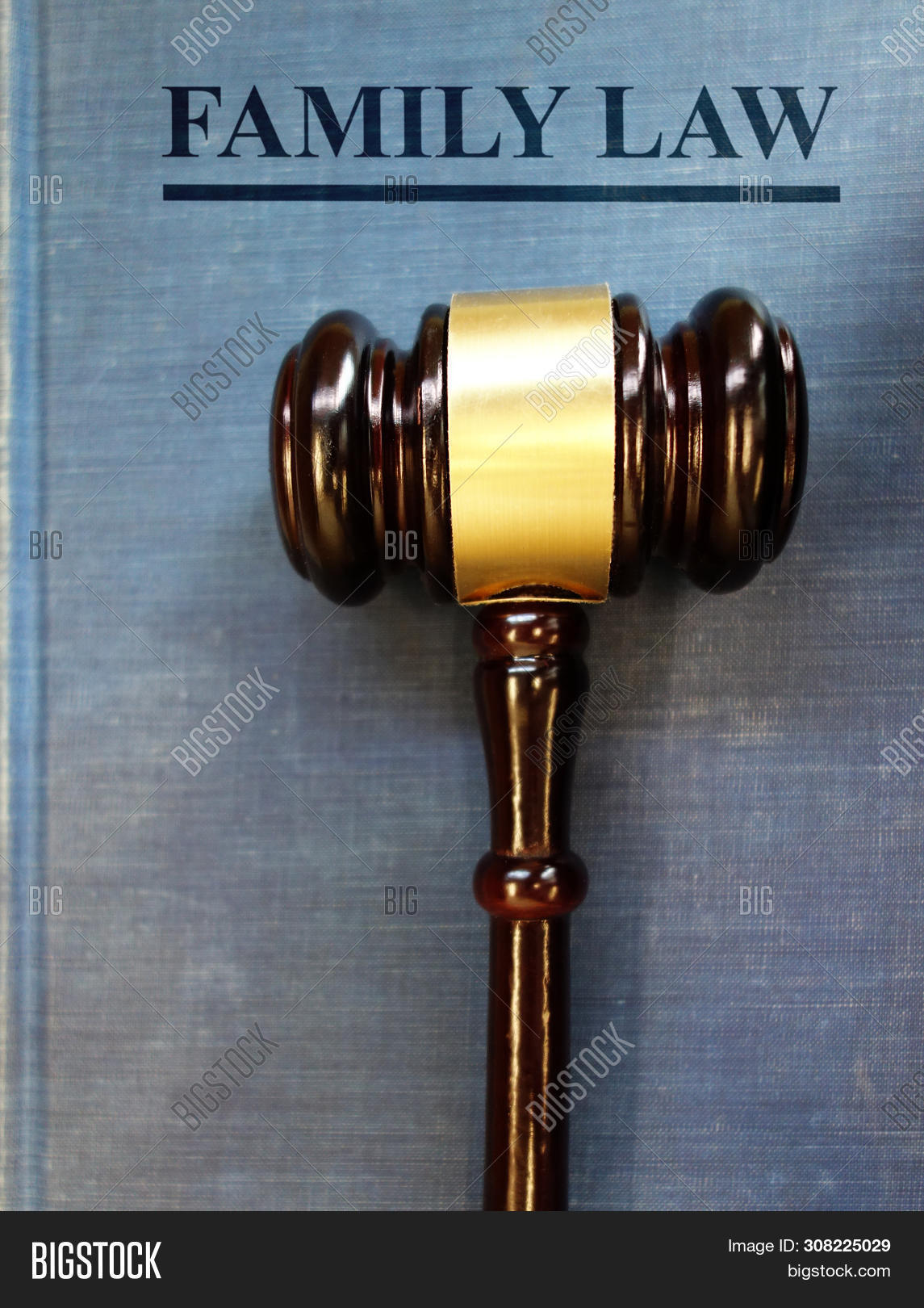 Family Law Book Legal Image & Photo (Free Trial) | Bigstock