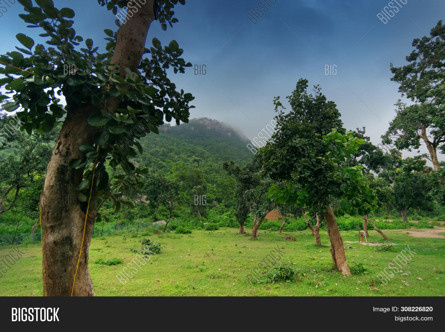 Monsoon Ajodhya Hill Image & Photo (Free Trial) | Bigstock