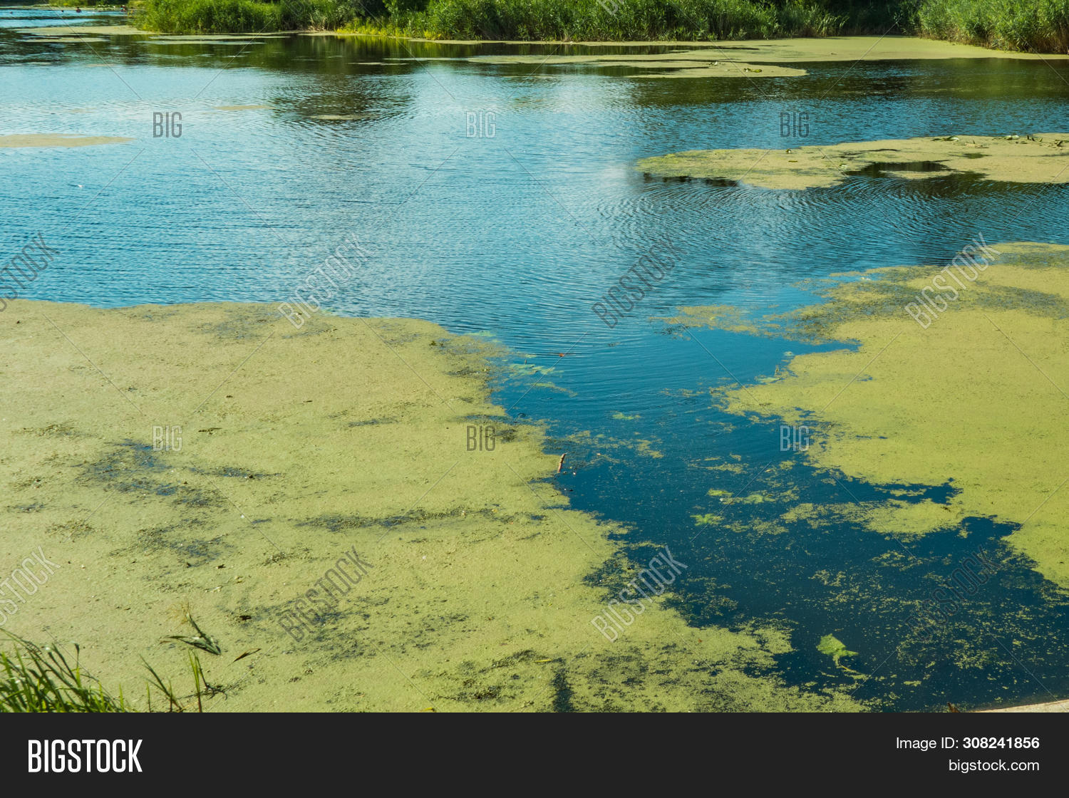 Blue River Water Green Image & Photo (Free Trial) | Bigstock
