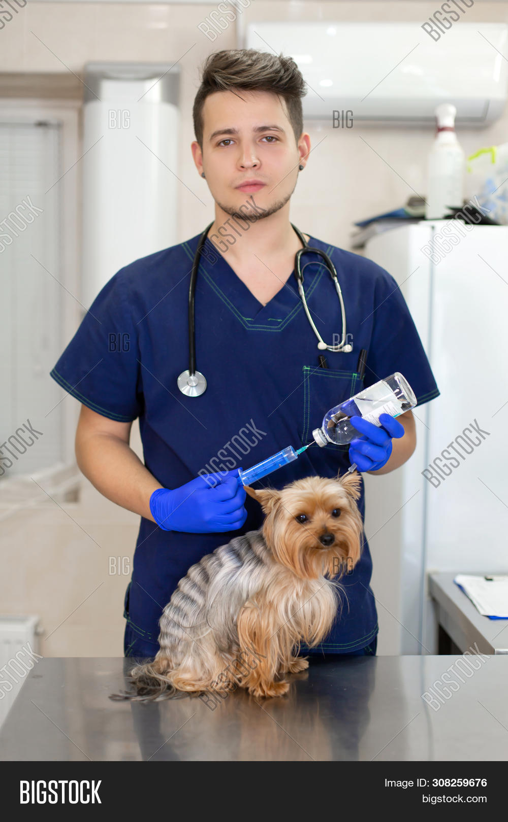 Professional Image & Photo (Free Trial) | Bigstock