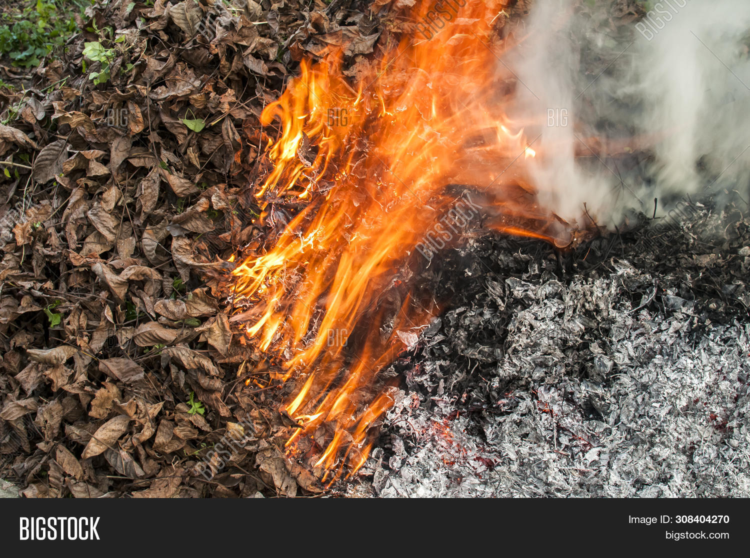 Flame-burning Pile Dry Image & Photo (Free Trial) | Bigstock