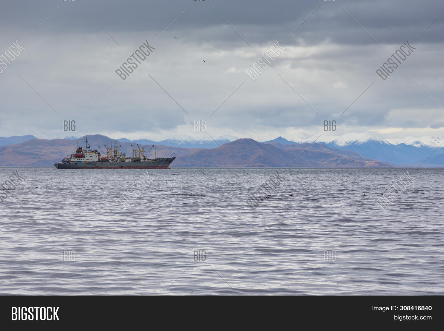 View Avacha Bay. Ships Image & Photo (Free Trial) | Bigstock