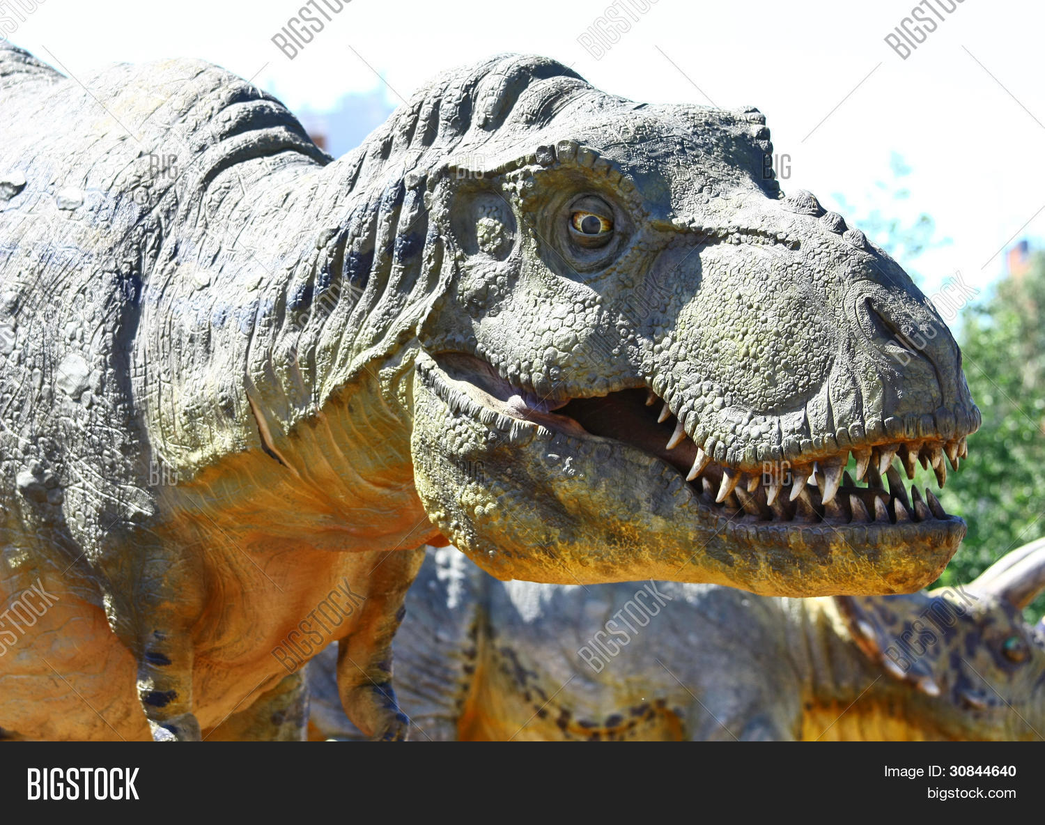Imagen y foto Dinosaurio (prueba gratis) | Bigstock