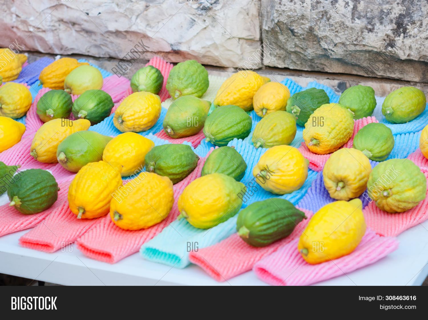 Jewish Festival Sukkot Image & Photo (Free Trial) | Bigstock