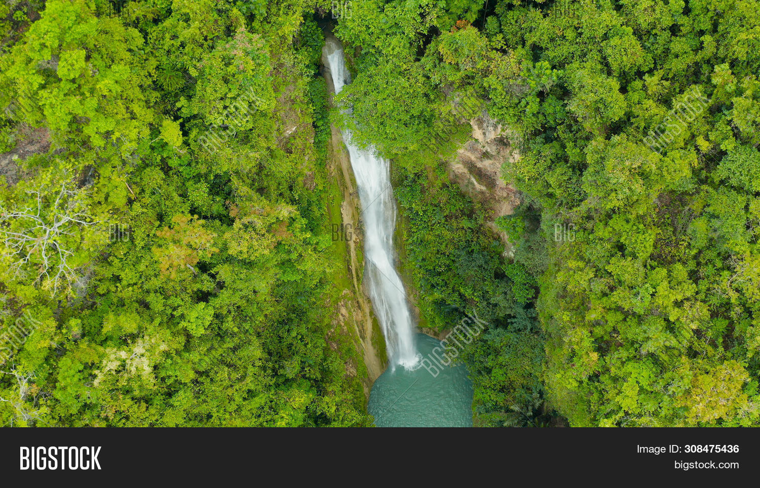Aerial Top View Jungle Image & Photo (Free Trial) | Bigstock