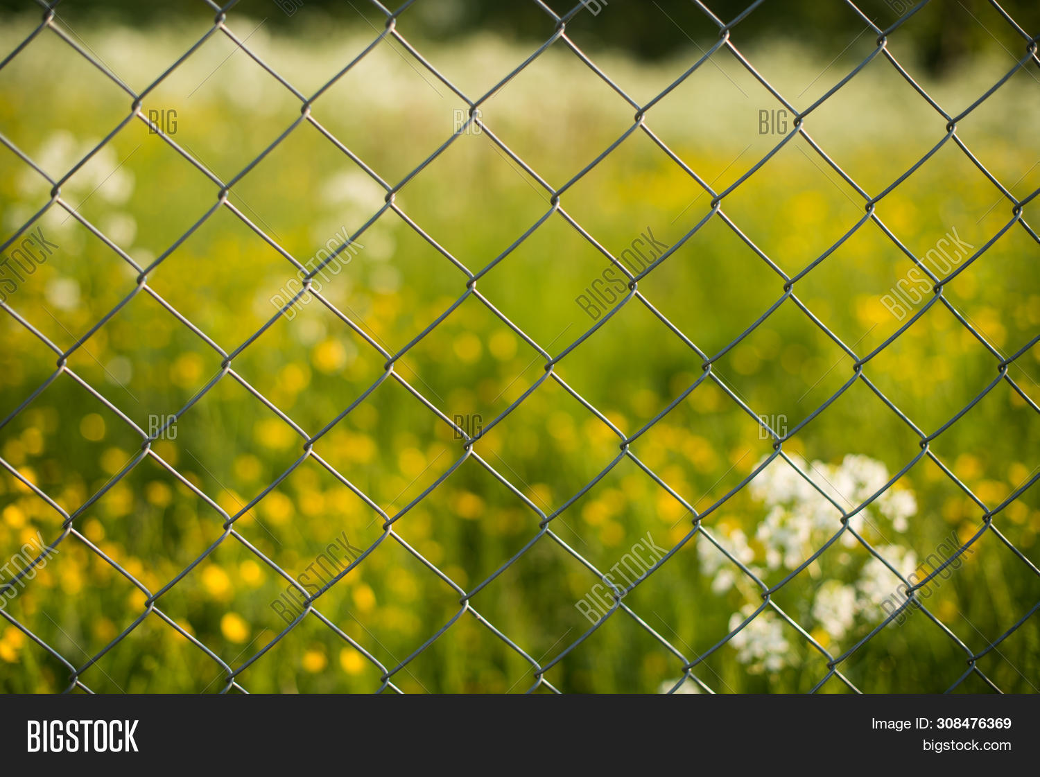 Metal Grid. Fence Mesh Image & Photo (Free Trial) | Bigstock