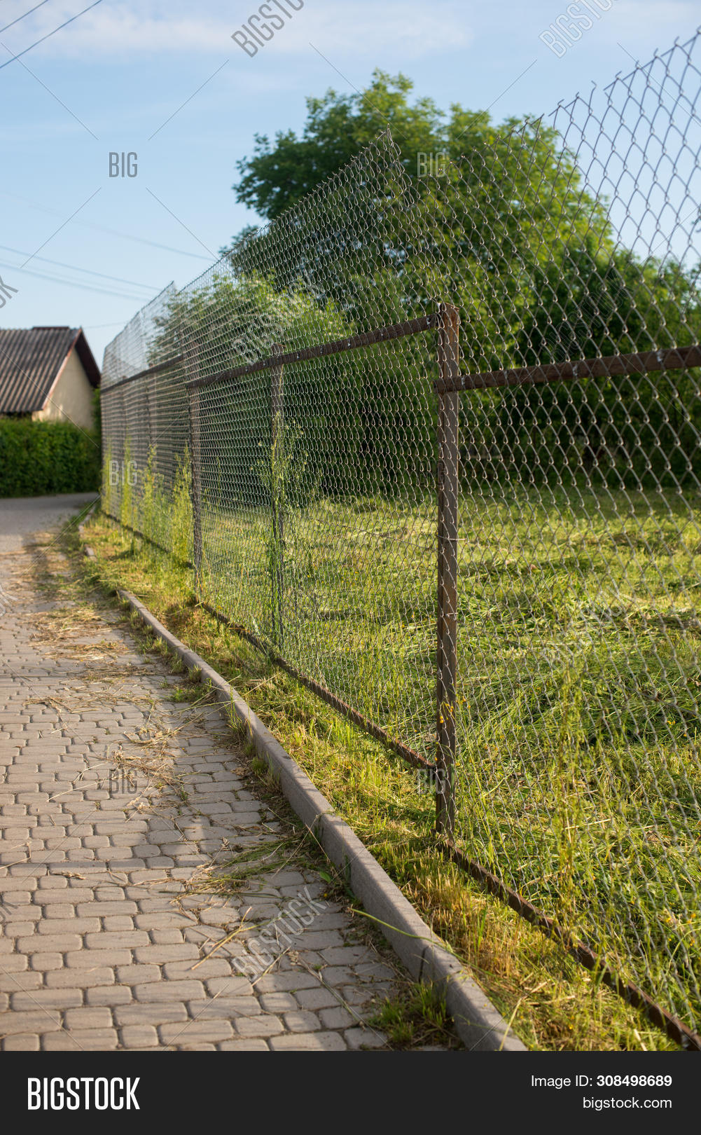 Metal Grid. Fence Mesh Image & Photo (Free Trial) | Bigstock