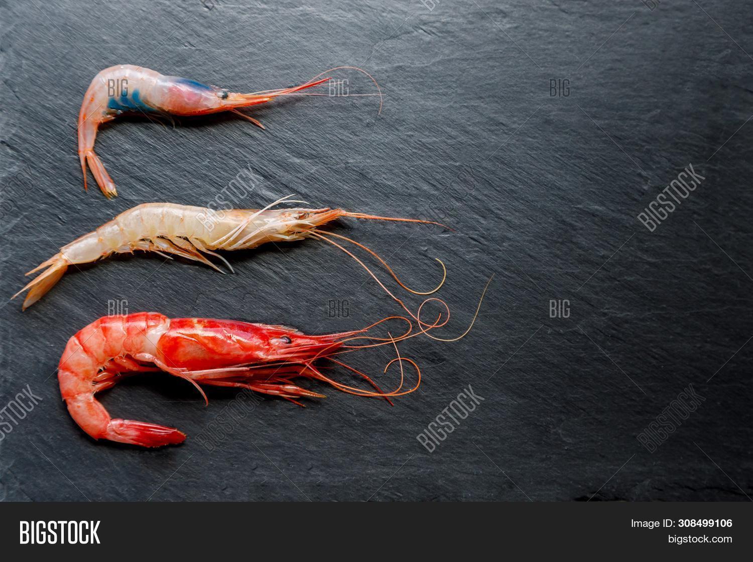 Red Prawn, White Prawn Image & Photo (Free Trial) | Bigstock