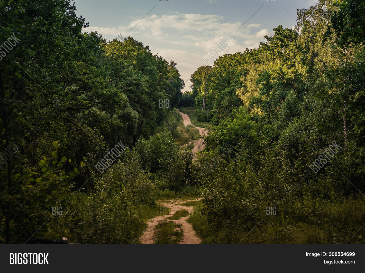 Narrow Road Through Image & Photo (Free Trial) | Bigstock