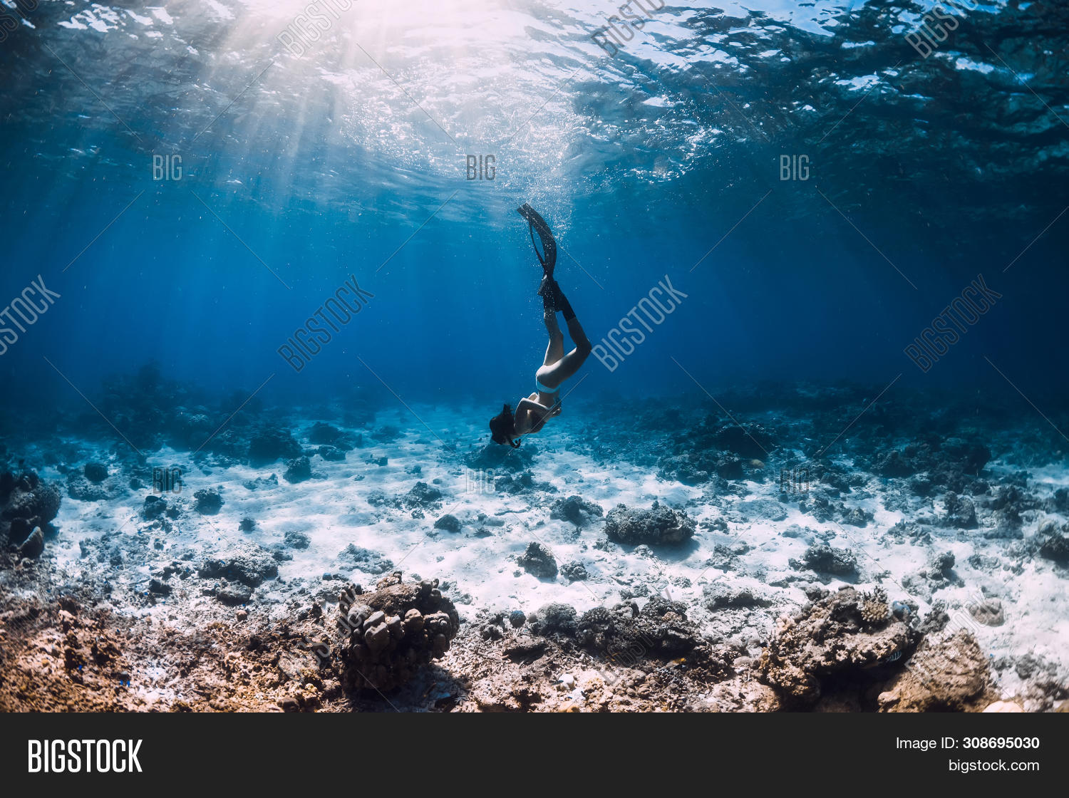 Young Woman Freediver Image & Photo (Free Trial) | Bigstock