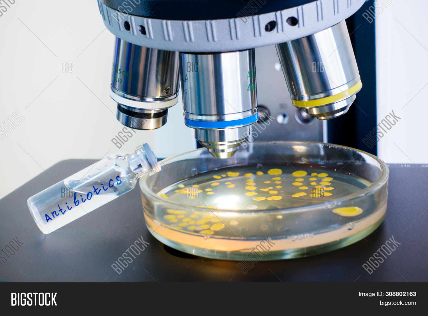 Checking Effect Image & Photo (Free Trial) | Bigstock