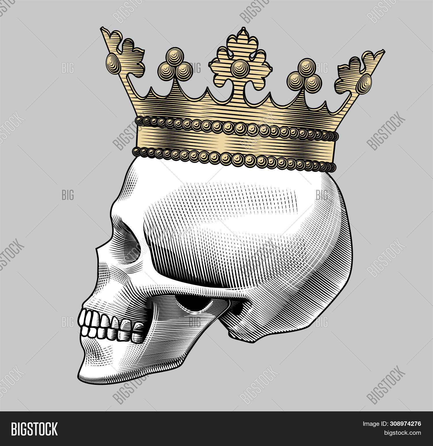 Human Skull Full Face Image & Photo (Free Trial) | Bigstock