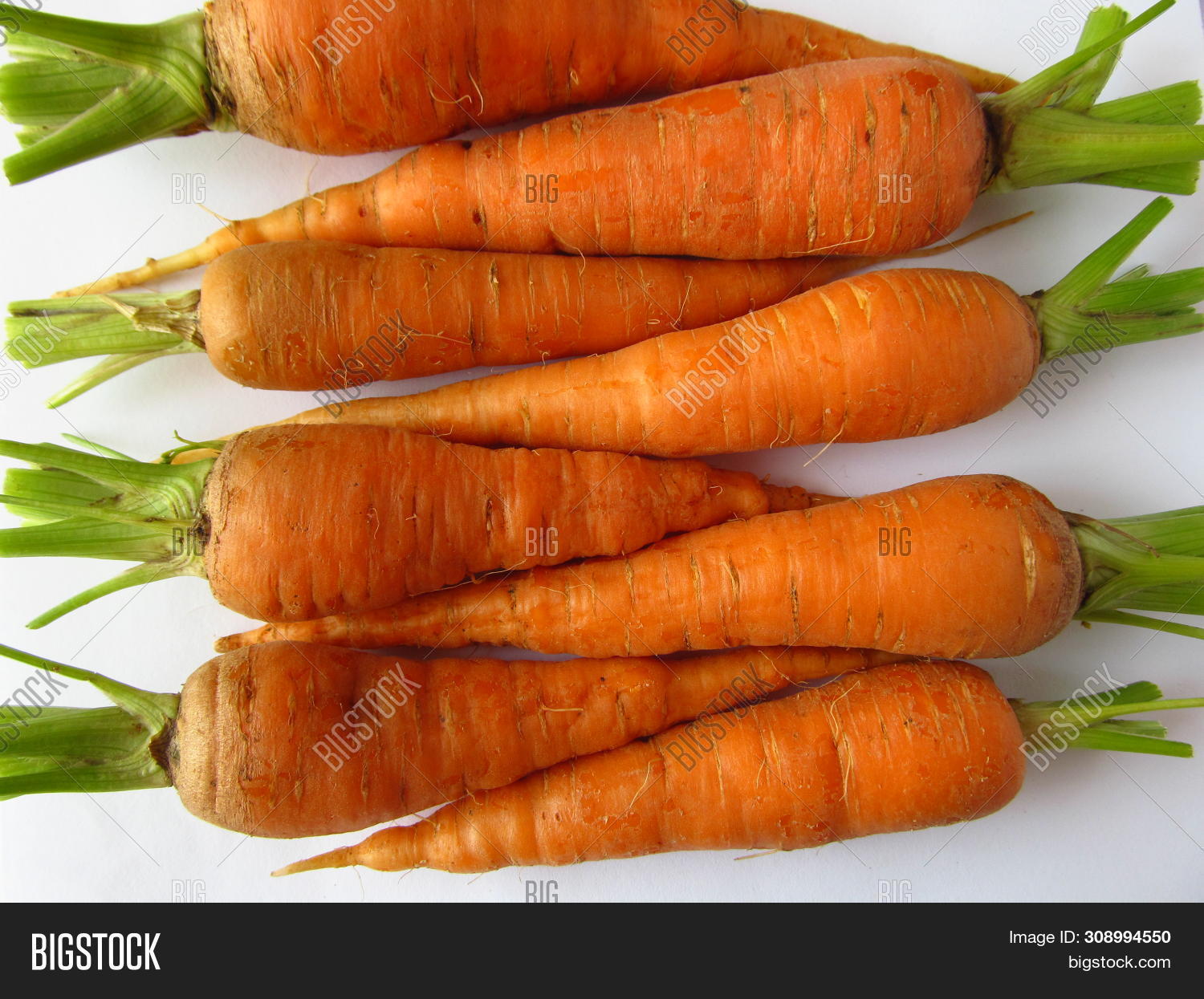 Fresh Clean Carrots On Image & Photo (Free Trial) | Bigstock