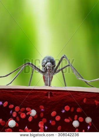 3d Rendered Image & Photo (Free Trial) | Bigstock