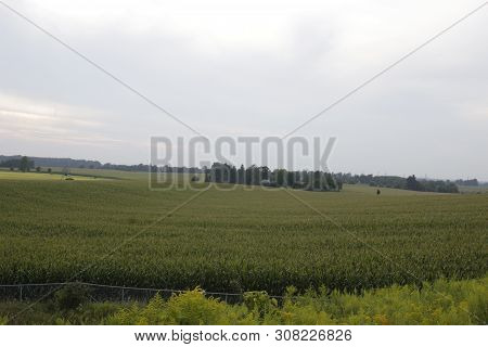 Ontario Canada Farm Landscape Images, Illustrations & Vectors (Free ...
