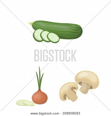 Bitmap Design Image & Photo (Free Trial) | Bigstock