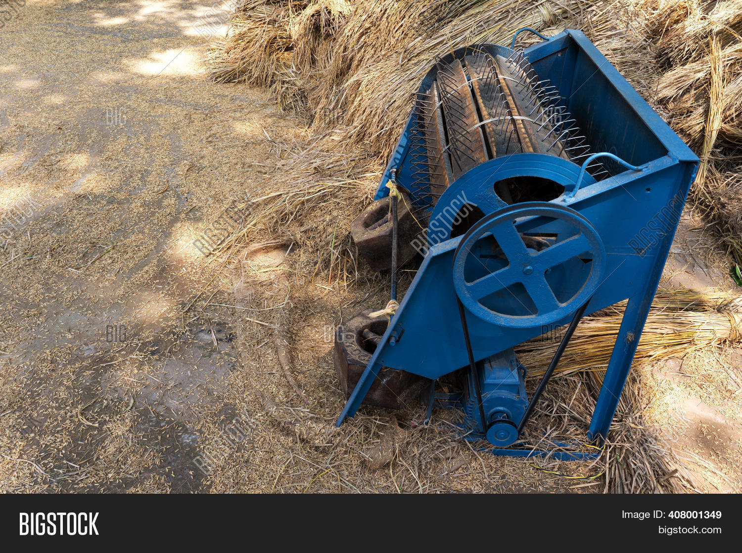 Paddy Threshing Image & Photo (Free Trial) | Bigstock